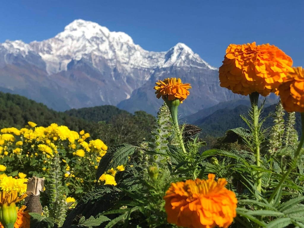 Best Spring Treks in Nepal 2025 | Mountain Adventure Nepal