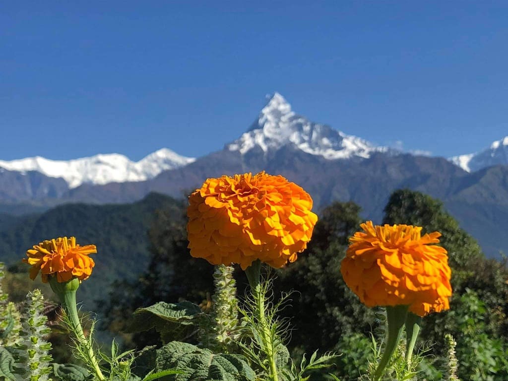 Nepal Monsoon Tour | 9 Days Rainy Season Adventure
